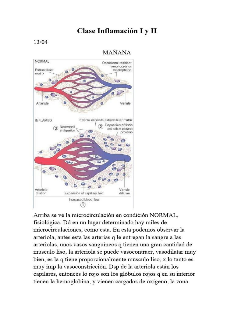 Clase 1 Inflamacion | Descargar gratis PDF | Inflamación | Edema