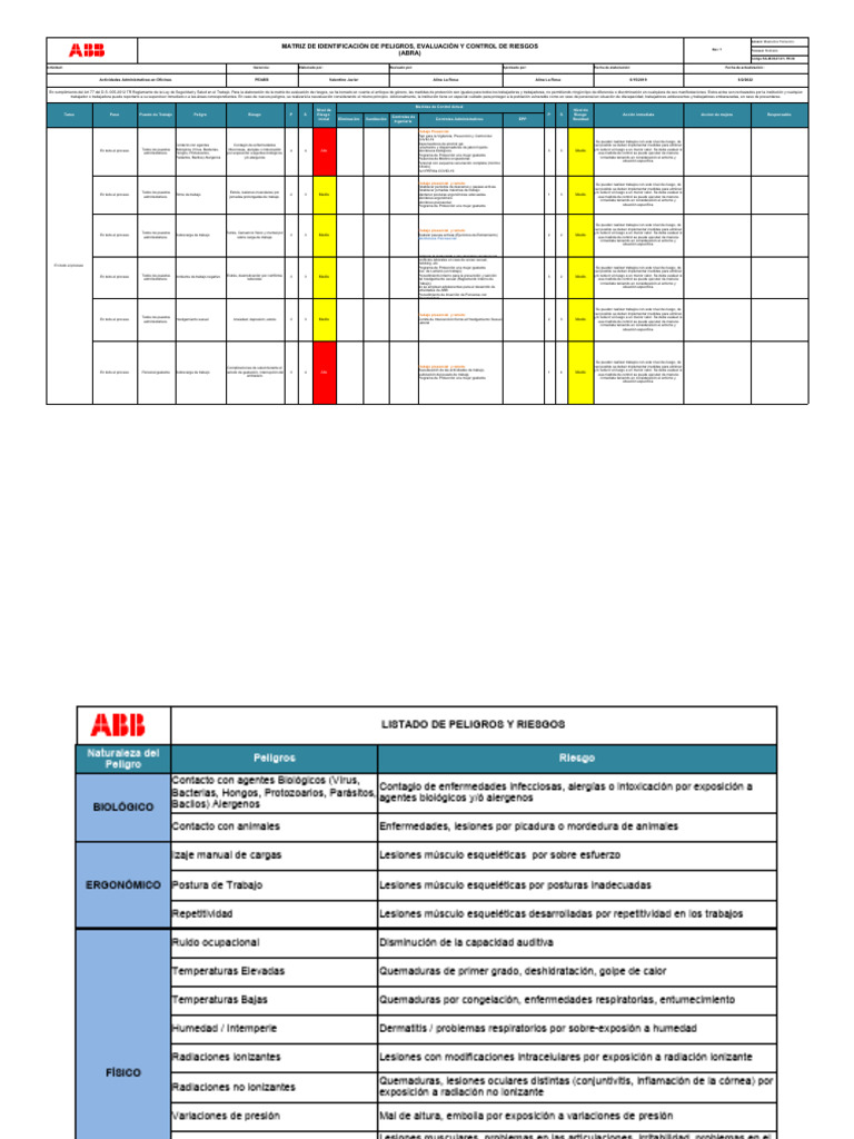 Formato Matriz Abra 2023 | PDF | Alergia | Quemar