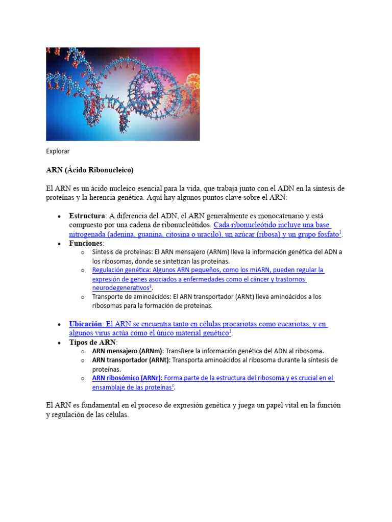Funciones y Tipos de ARN | PDF | Ciencia y matemáticas