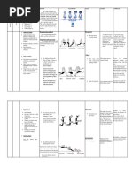 Long Jump Lesson Plan | PDF | Running
