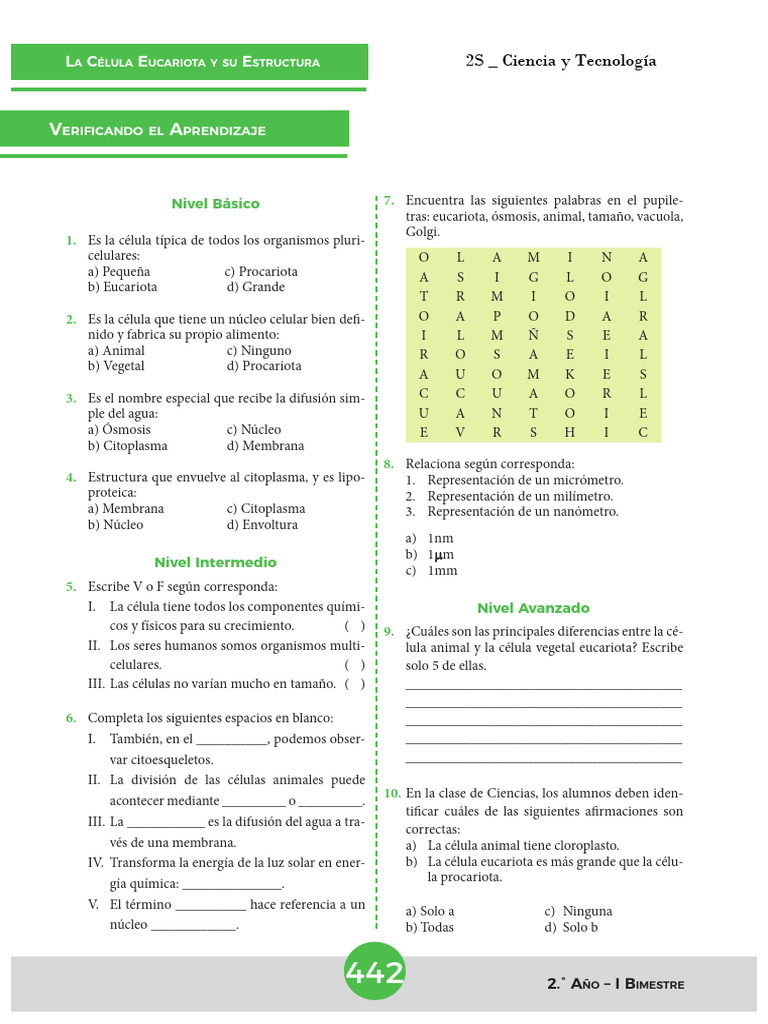 Pract. 2S - CyT - Célula Eucariota | PDF | Biología Celular) | Citoplasma