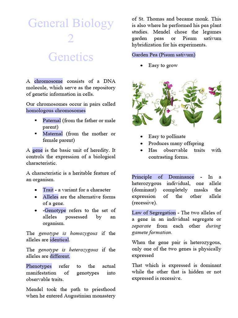 BIO-2-2nd-sem | PDF | Dominance (Genetics) | Genotype