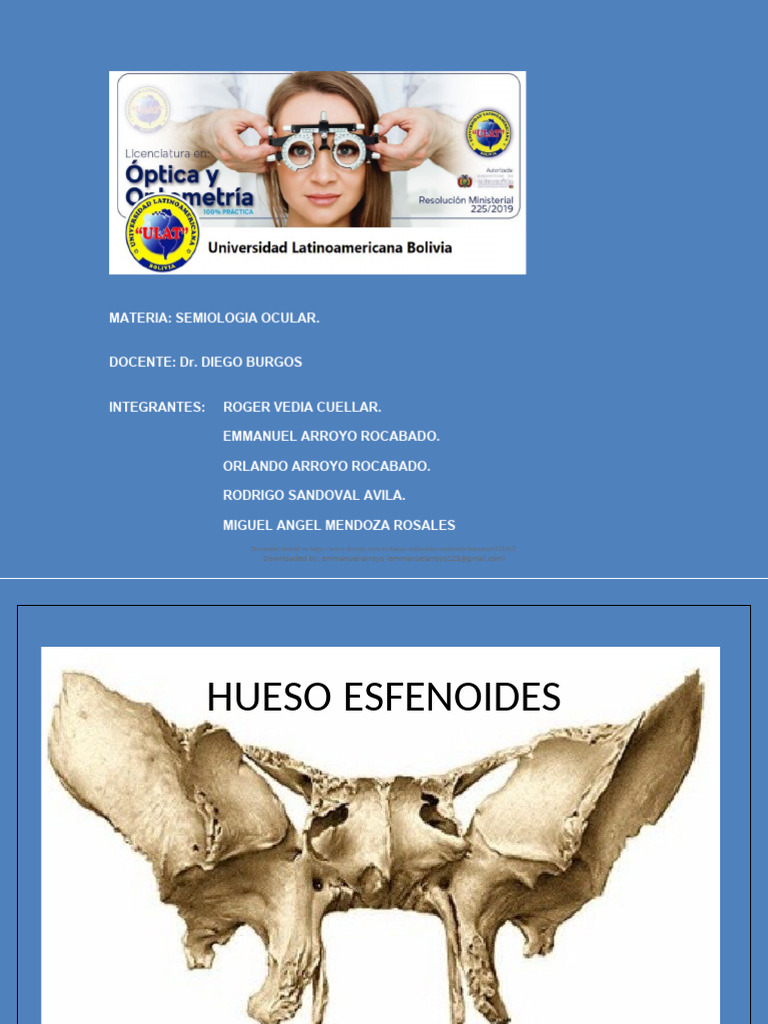 Anatomía del Hueso Esfenoides | PDF | Sistema musculoesquelético ...