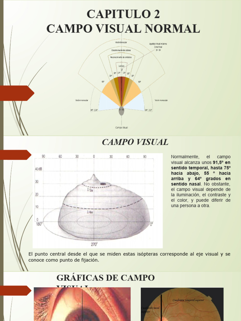 TEMA#2 | PDF | Percepción visual | Sentidos