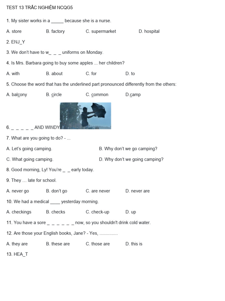 Vietnamese Student Quiz | PDF