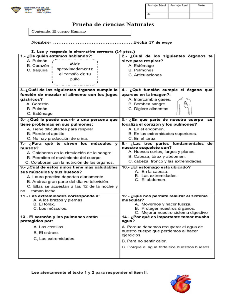 Prueba Mi Cuerpo | PDF | Hueso | Corazón