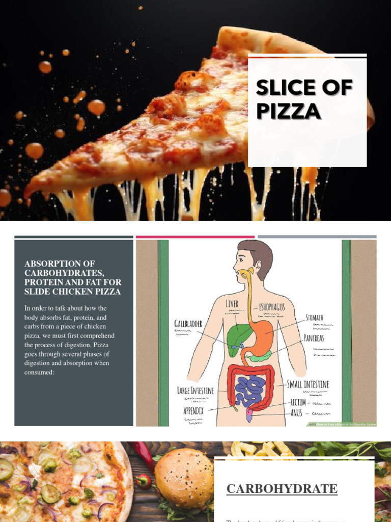 Slice of Pizza | PDF | Carbohydrates | Digestion
