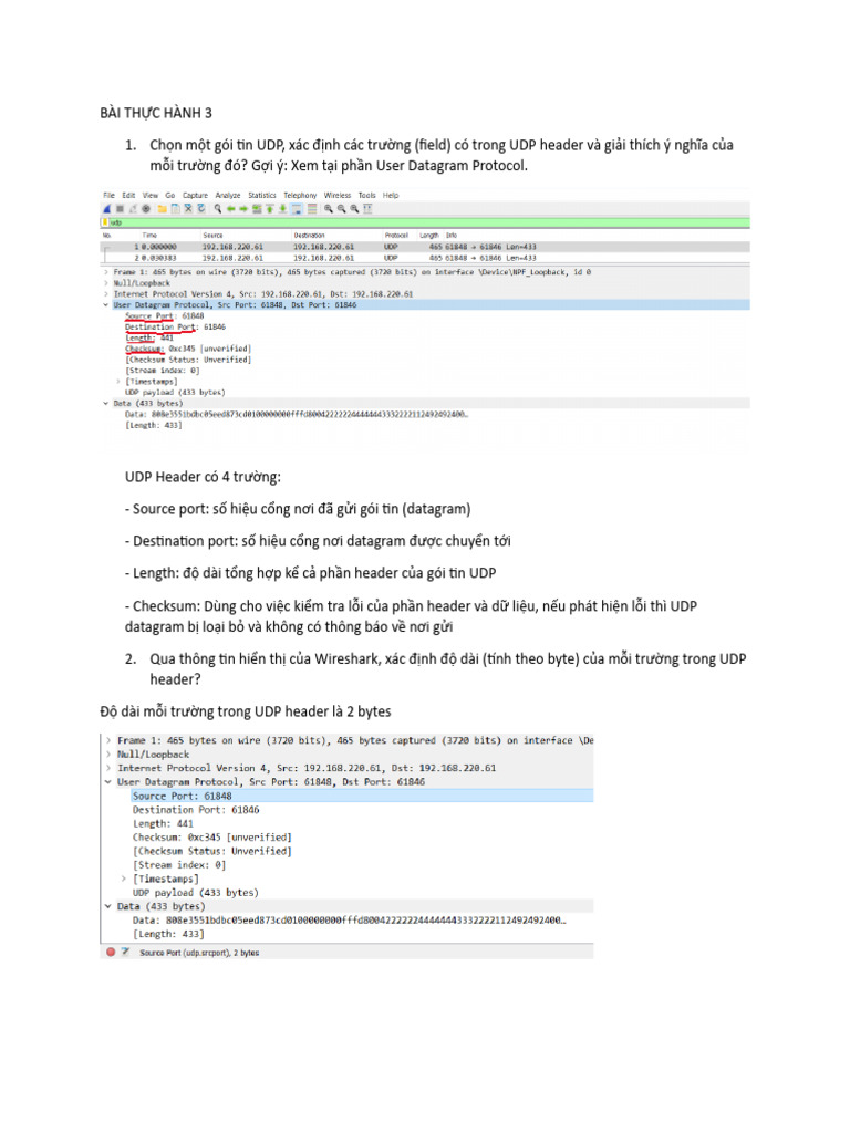 Bài lab03 nhập môn mạng máy tính | PDF
