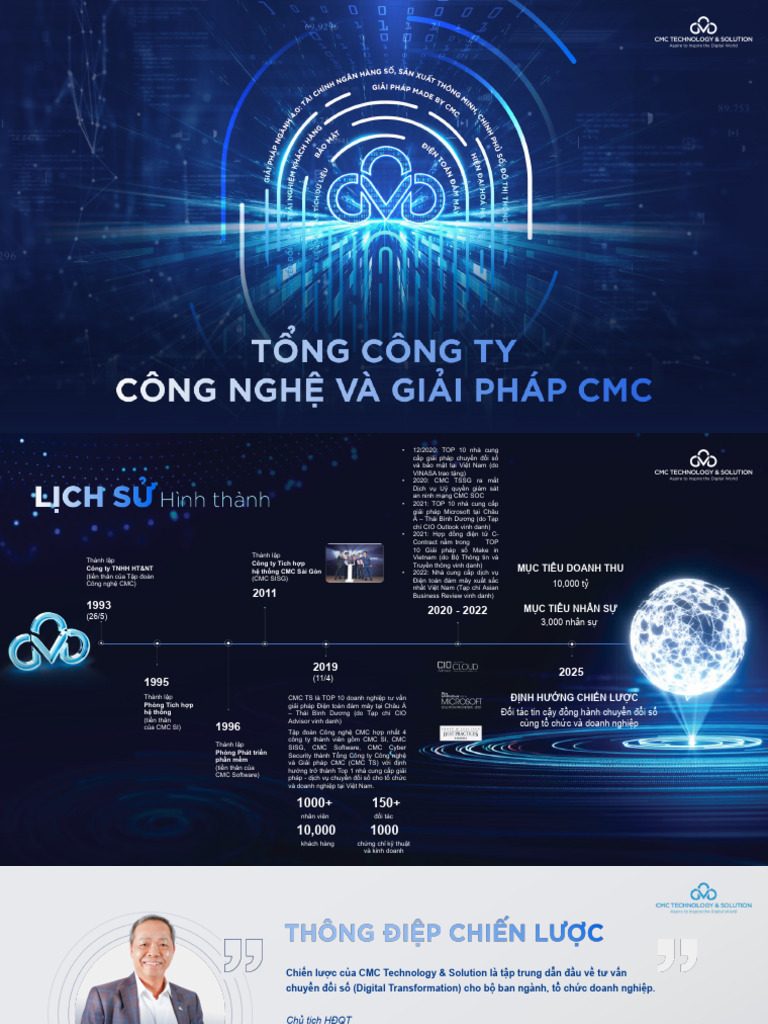 Vi Cmc Ts Profile 2024 | PDF