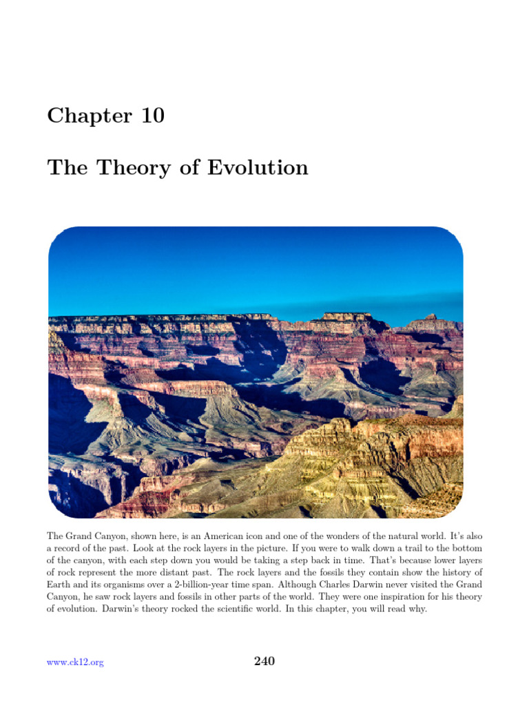 Chapter 10 - The Theory of Evolution | PDF | Natural Selection | Evolution
