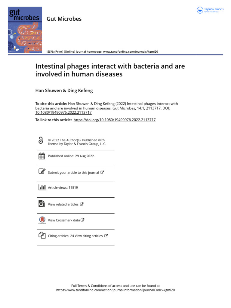 Intestinal Phages Interact With Bacteria and Are Involved in Human ...