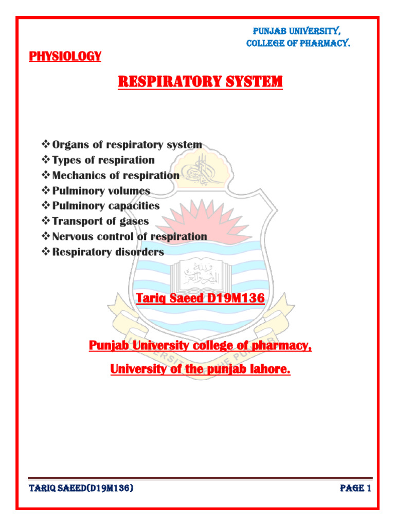 Respiratory System-3 | PDF | Respiratory Tract | Respiratory System