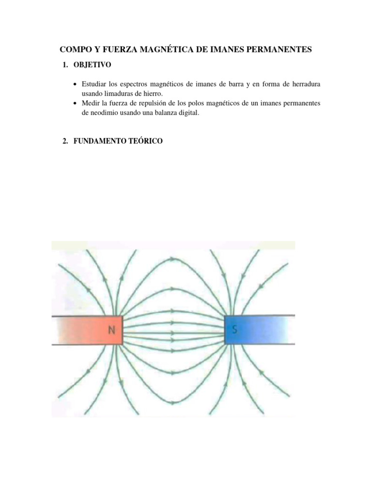 Práctica Lab Compo Magnético Estático | PDF | Imán | Magnetismo