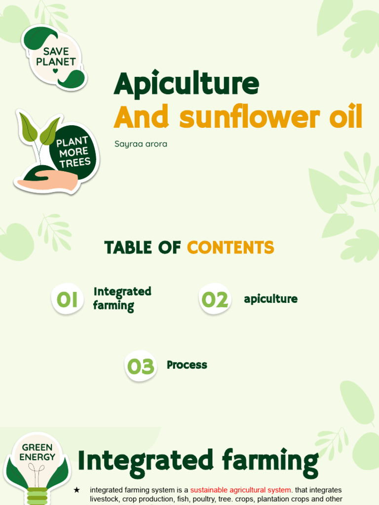 Apiculture and Sunflower Oil | PDF | Agriculture | Honey Bee