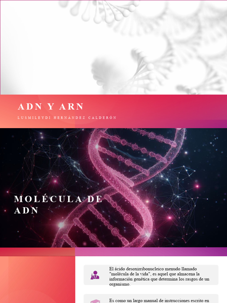 Moléculas de ADN y ARN | PDF