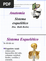 Esqueleto humano para recortar y armar | PDF