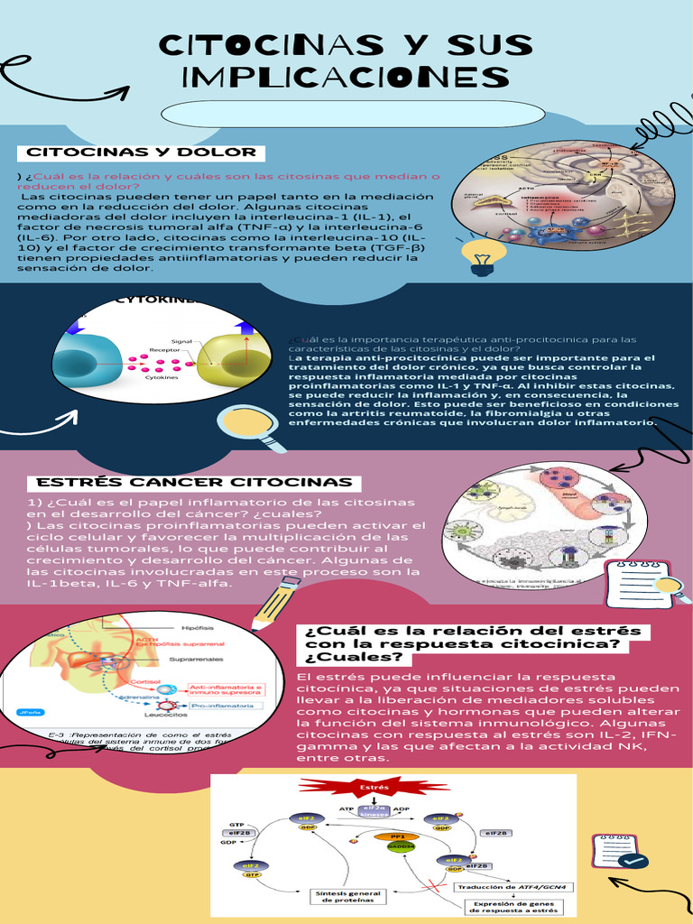 Infografía de Proceso Rompecabezas Sencillo Colorido | PDF | Citocina ...