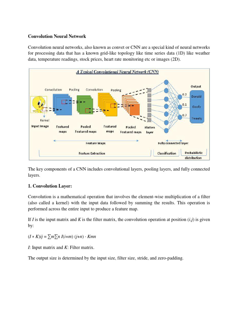 Convolution Neural Network | Download Free PDF | Computational Science | Machine Learning