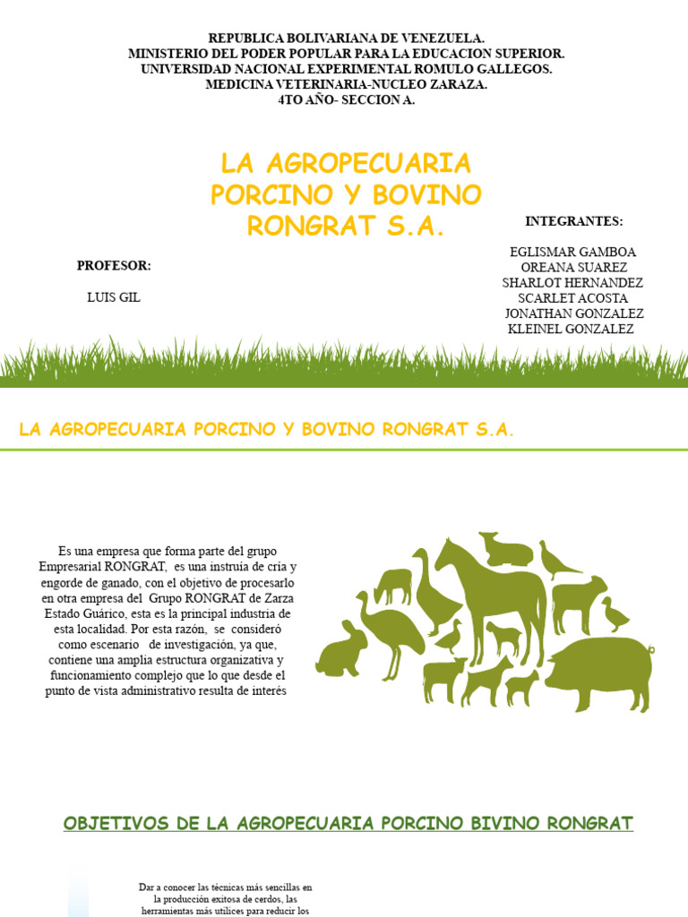 Plantilla Powerpoint de Animales de Granja | Descargar gratis PDF ...