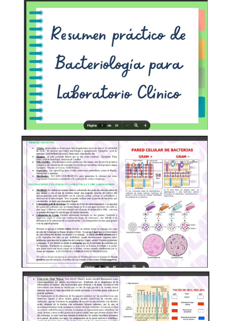 Resumen de BACTERIO PX | PDF