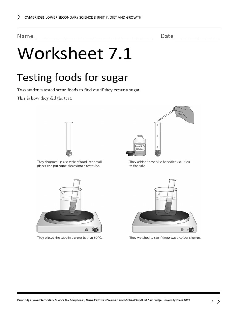 S8 Worksheets Unit 7 | PDF | Foods | Caffeine