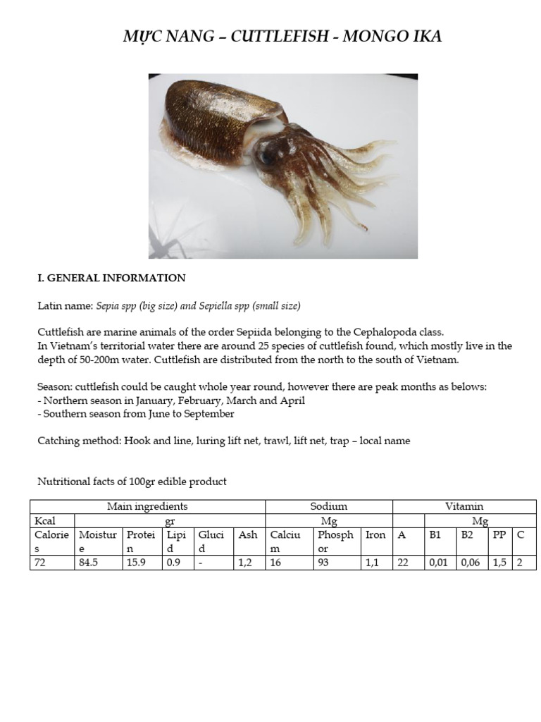 Cuttlefish Products for Export Markets | PDF | Science & Mathematics