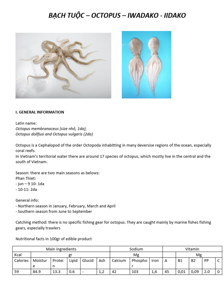 Product Information - Octopus | PDF | Octopus