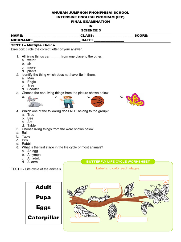 Science 3 Final Exam | PDF | Insects