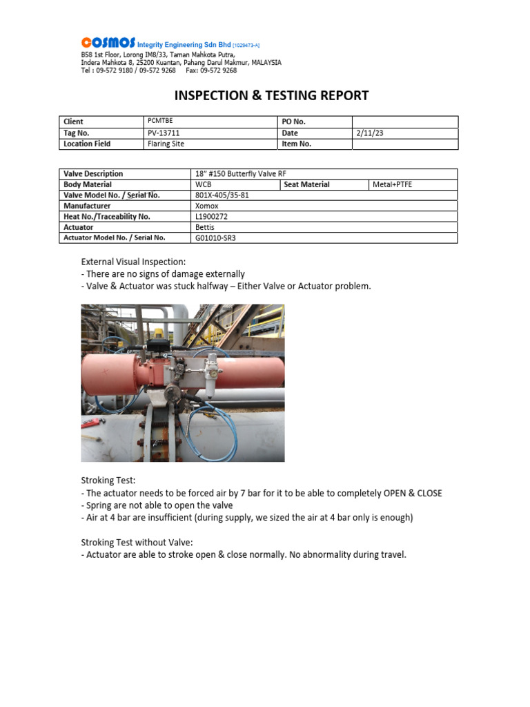 REPORT PCMTBE Valve | PDF