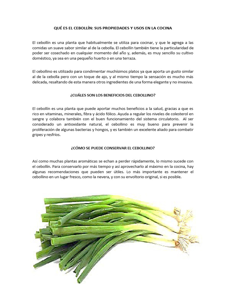 Beneficios y usos del cebollín | PDF