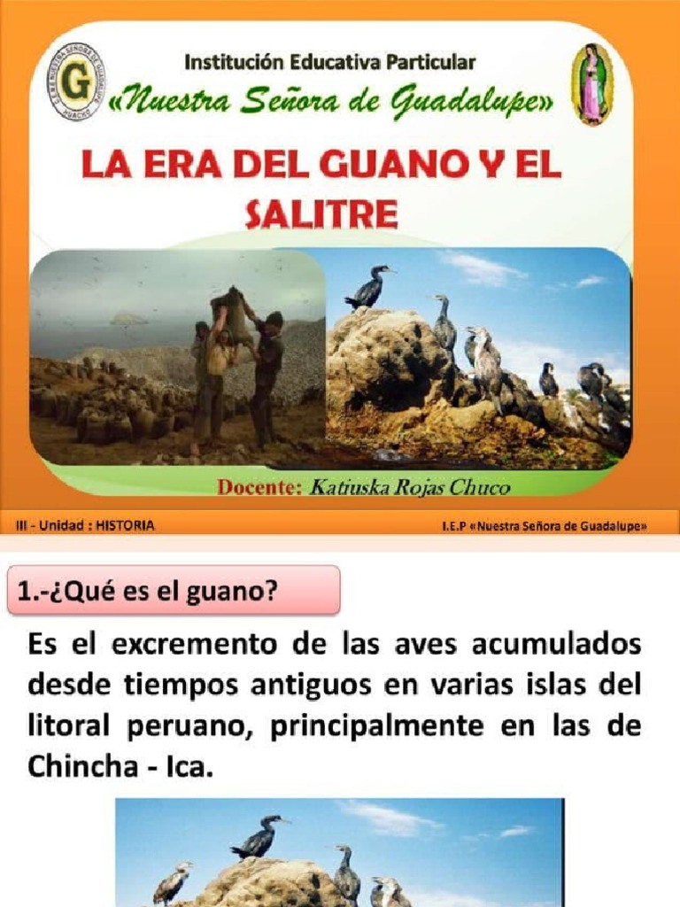 La Era Del Guano | PDF