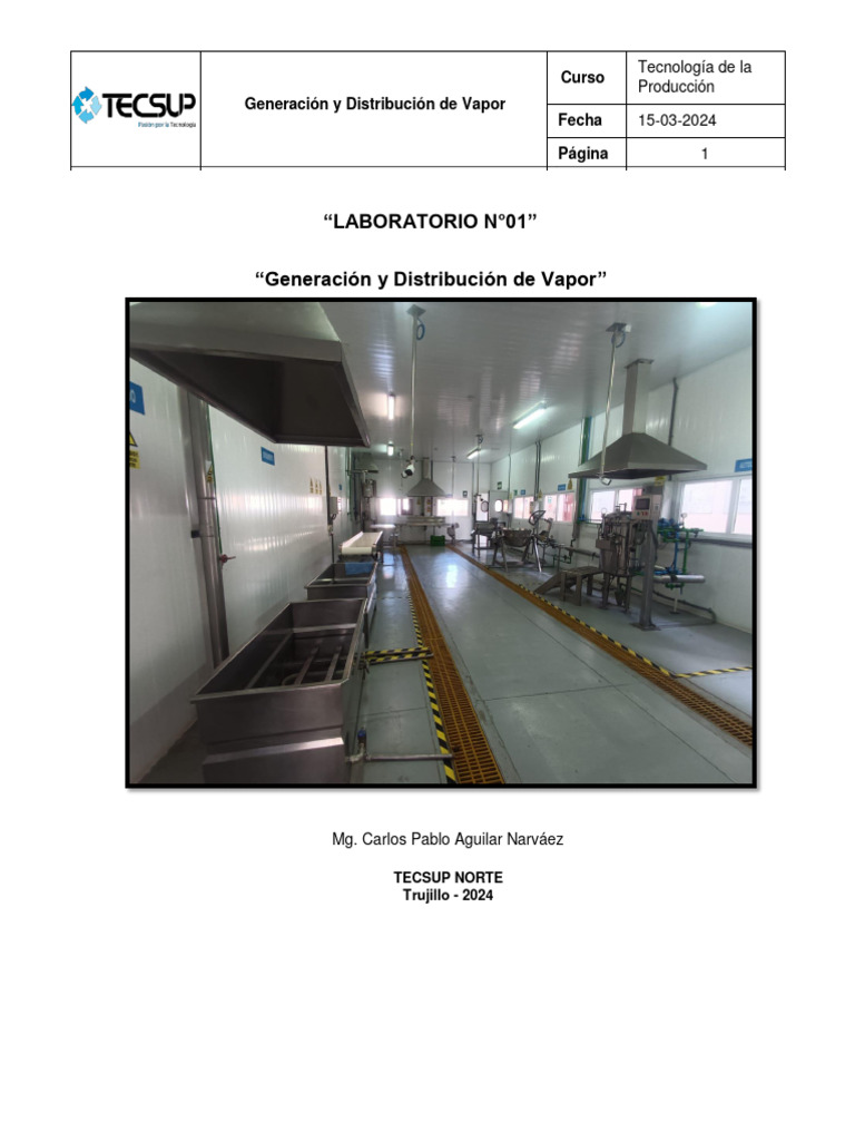 ENTREGABLE Guía de Laboratorio N°01 | PDF | Vapor | Máquina de vapor