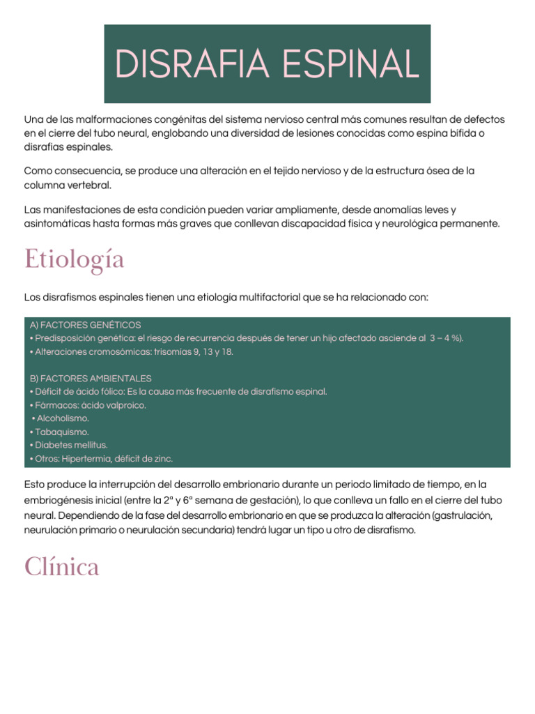 Disrafias Espinales: Tipos y Tratamiento | PDF | Médula espinal | Anatomía