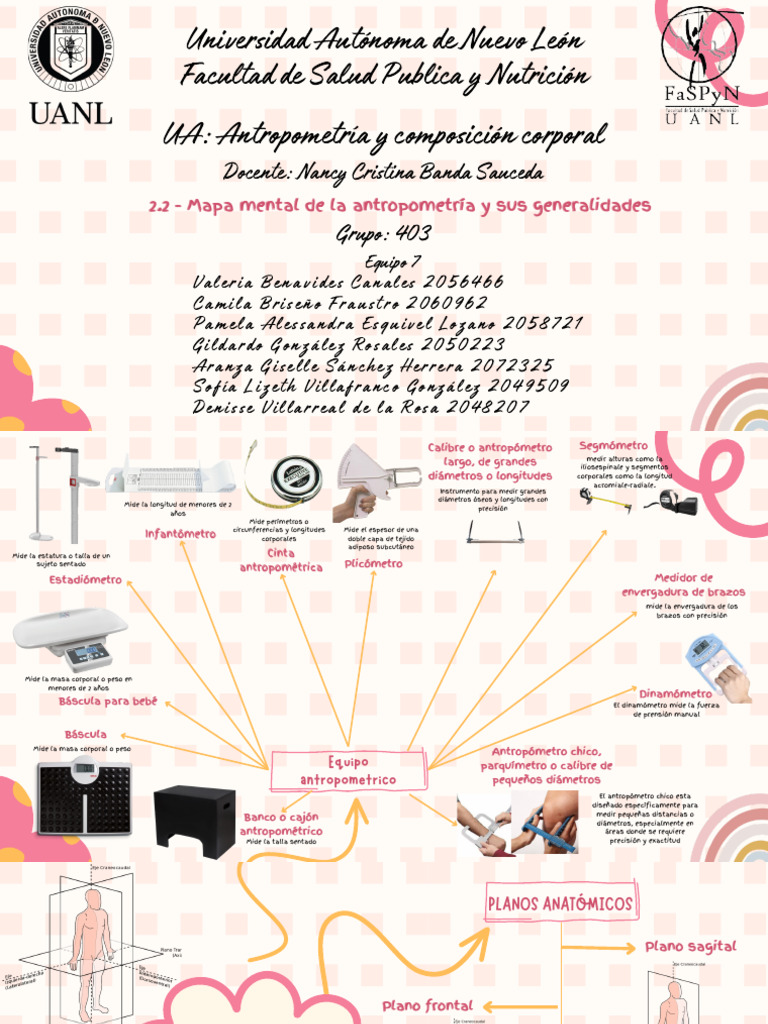 Actividad 2.2 - Equipo 7 | PDF | Anatomía humana | Metrología
