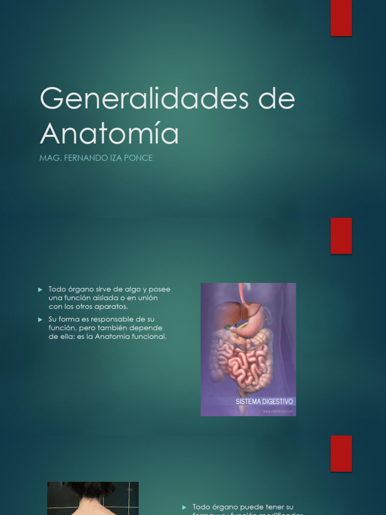 Generalidades de Anatomía Clase 1 | PDF | Articulación | Hueso