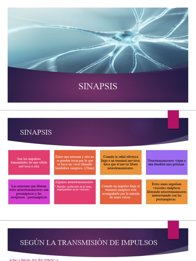 4bim Sinapsis | PDF | Sinapsis | Neurotransmisor