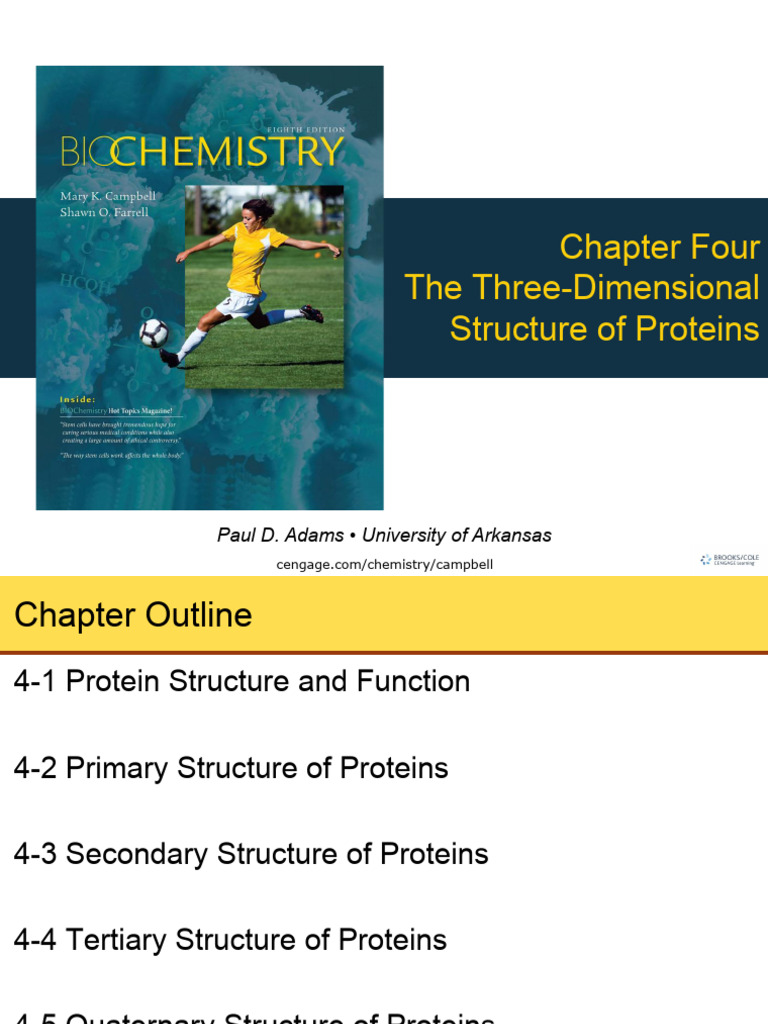 Chapter 4 the Three Dimensional Structure of Proteins | PDF ...