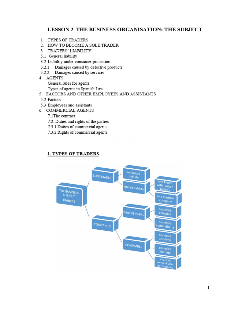 Sole Trader Business Structure Guide | PDF | Law Of Agency | Legal ...