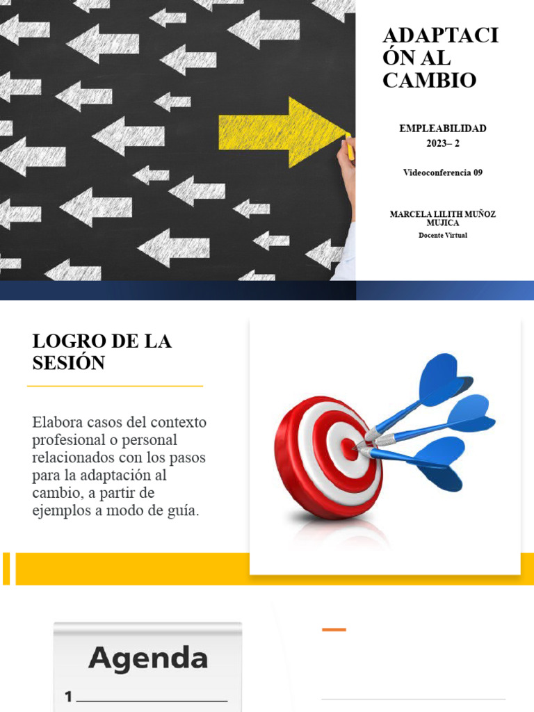 Estrategias para Adaptarse al Cambio | PDF | Aprendizaje | Evaluación