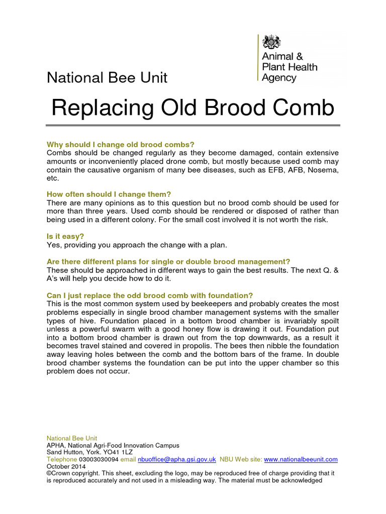 Replacing Old Brood Comb | PDF | Beekeeping | Bees