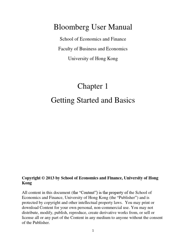 Bloomberg User Manual 1 | PDF | Microsoft Excel | Icon (Computing)