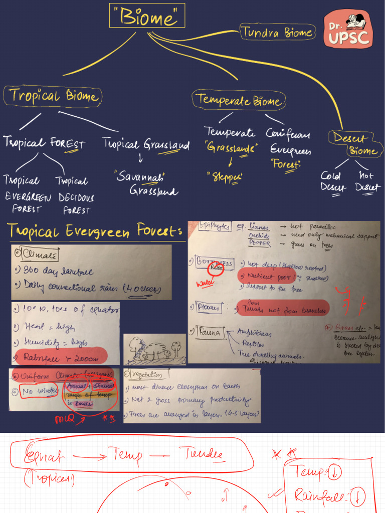 Biome CHEAT-Sheet | PDF | Forests | Grassland