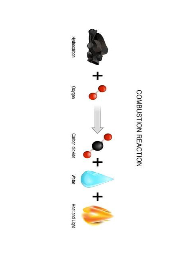 Printouts | PDF