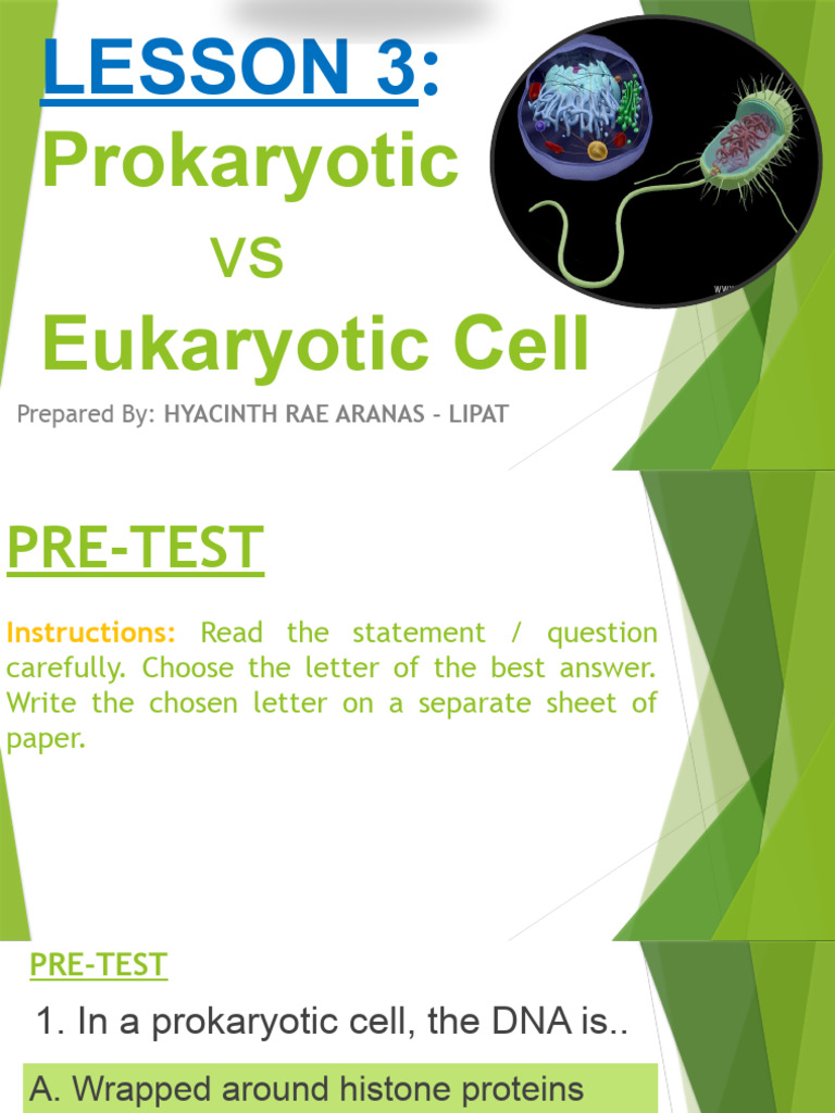 LESSON 3_Prokaryotid Vs Eukaryotic Cells | PDF | Cell (Biology ...