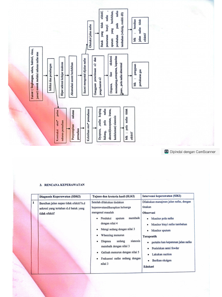 LP, LK Rizal Hidayat | PDF