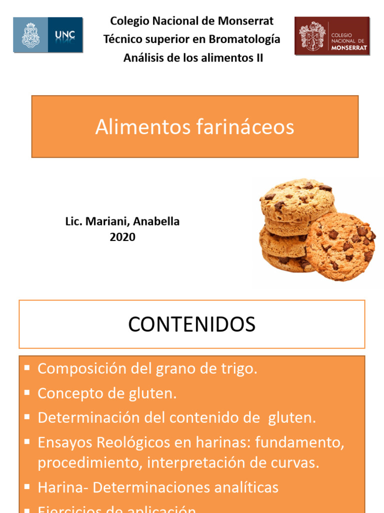 ALIMENTOS FARINÁCEOS 2020 | PDF | Panes