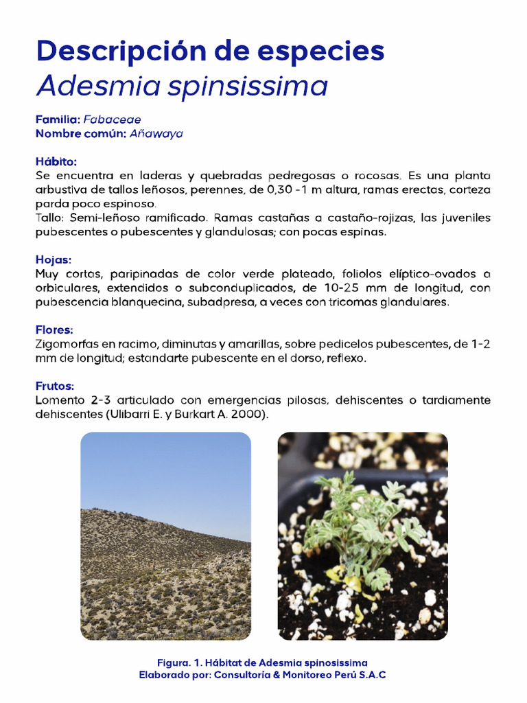 Prototipo Diseño | PDF