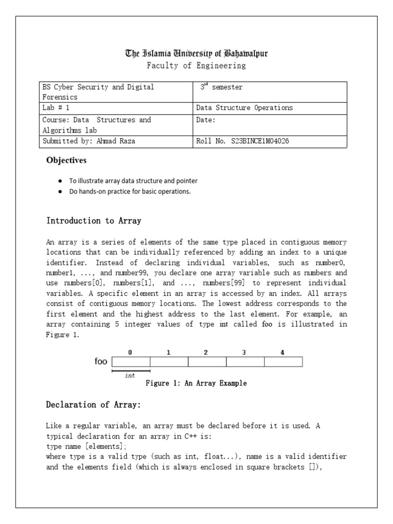 Dsa Lab1 Pdf Pointer Computer Programming Namespace 7609