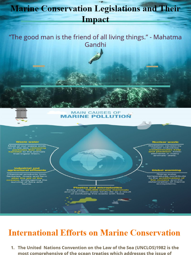 Marine Conservation Laws & Impact | PDF | Waste | Natural Environment
