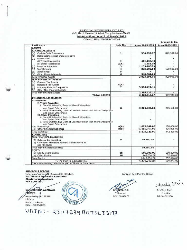 Balance Sheet RS Innovus | PDF